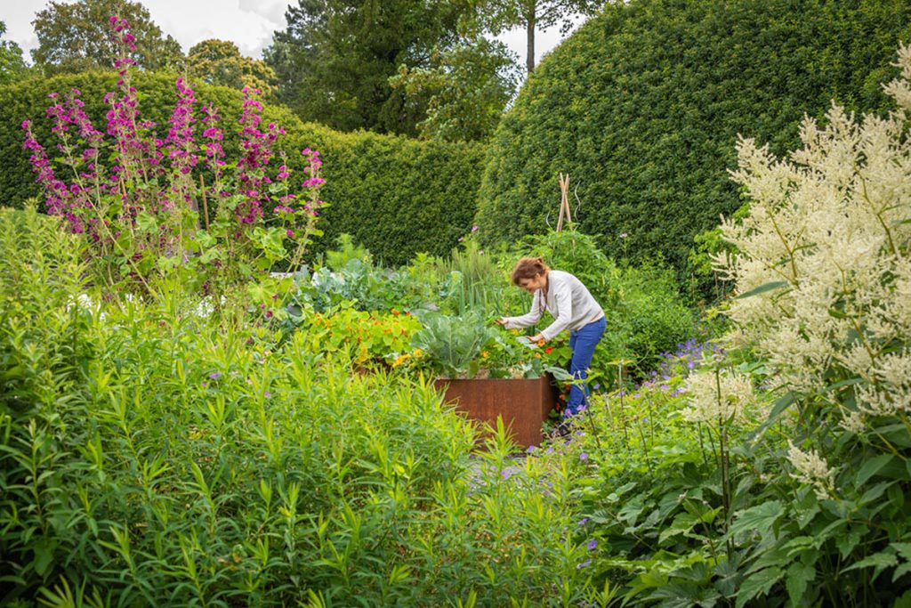 Projets – BLUMM LANDSCAPE