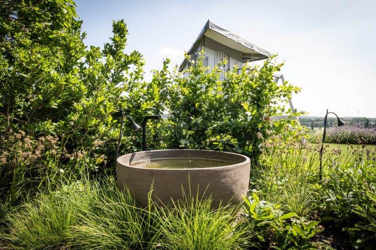 Langheck – BLUMM LANDSCAPE