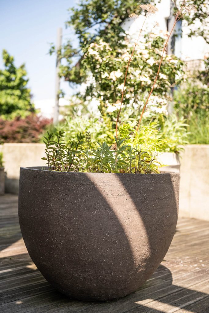 Langheck – BLUMM LANDSCAPE