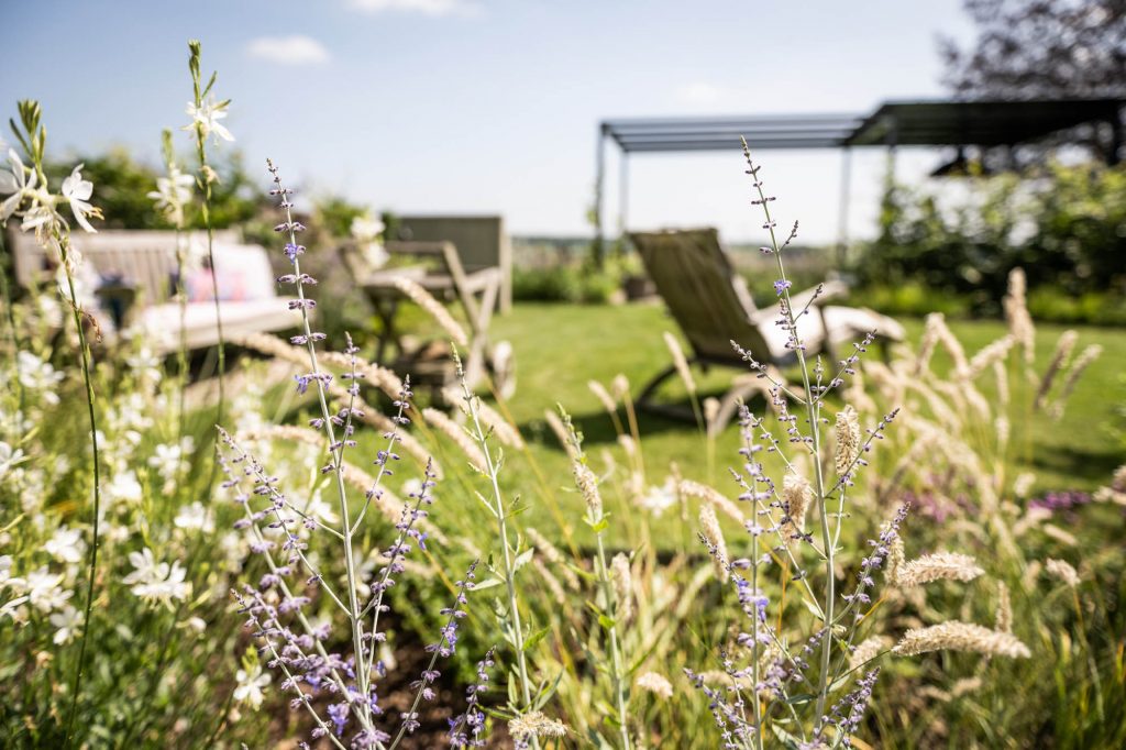 Langheck – BLUMM LANDSCAPE