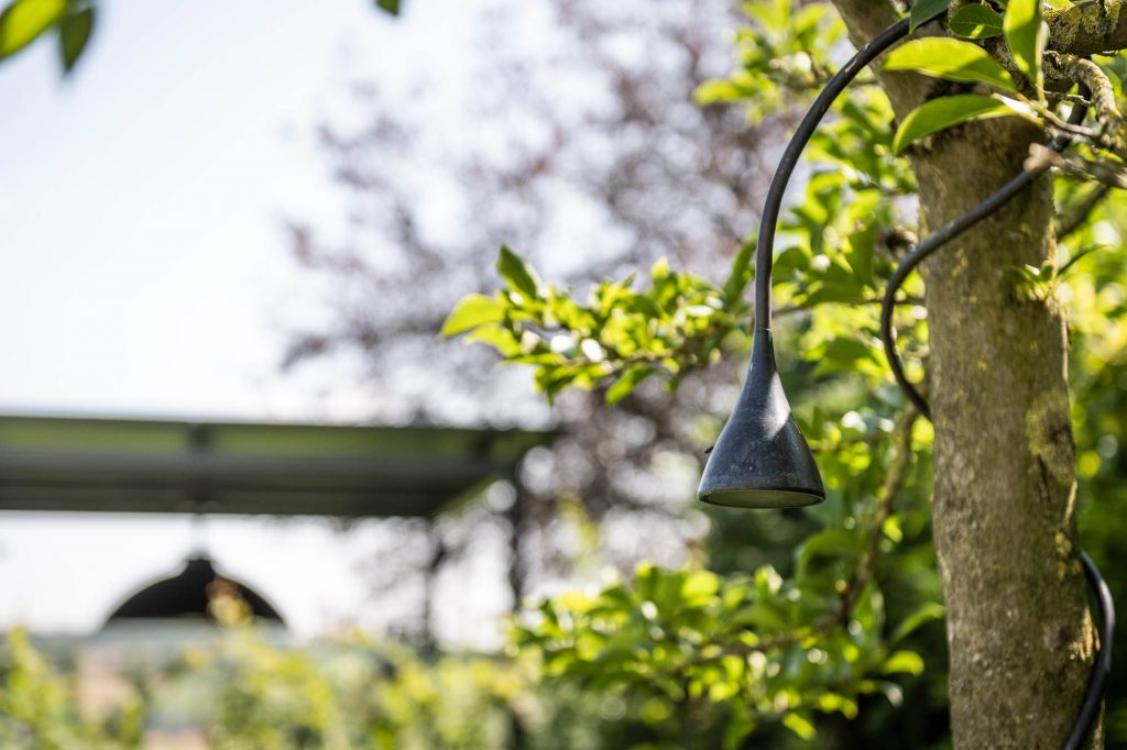 Langheck – BLUMM LANDSCAPE